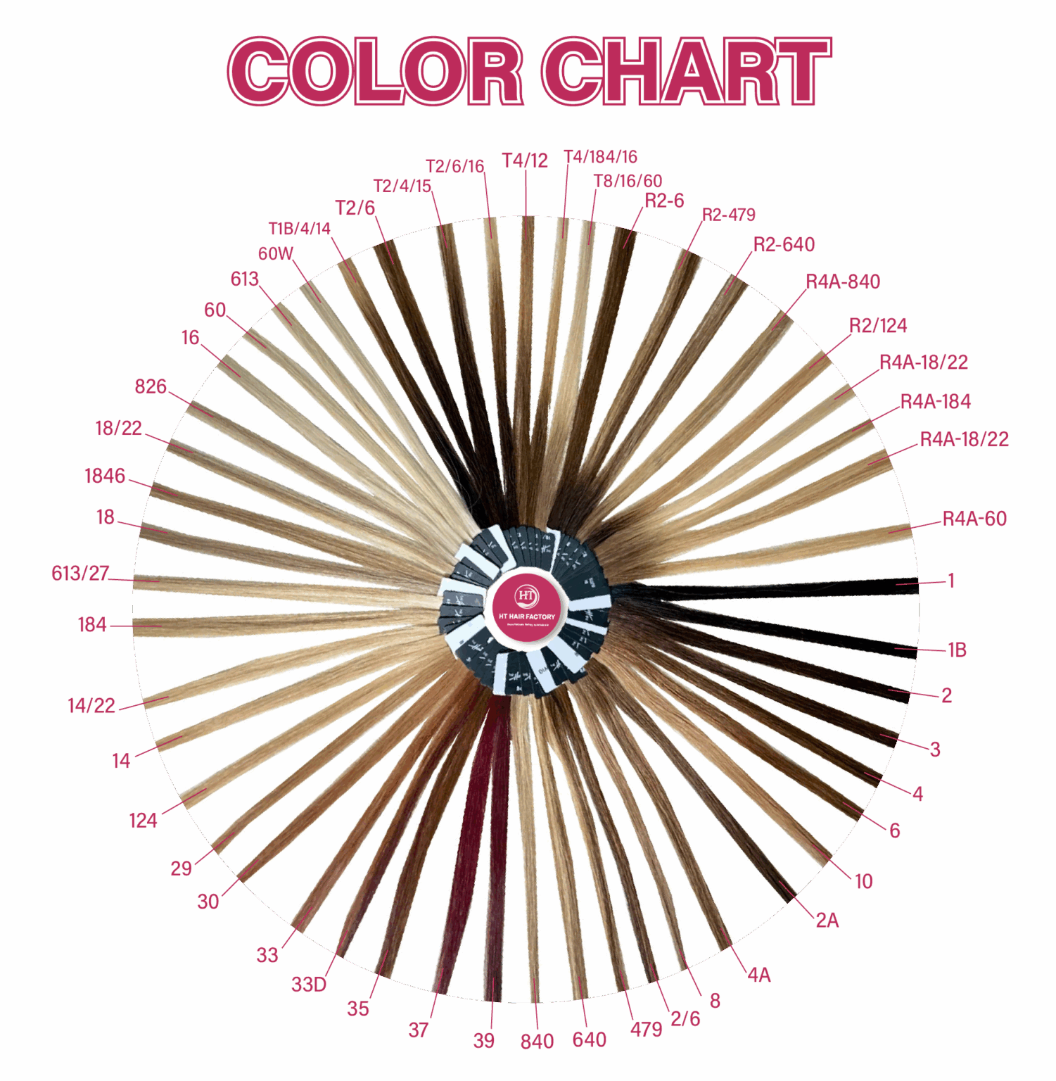 HT Hair Factory - Vietnam Leading Human Hair Factory