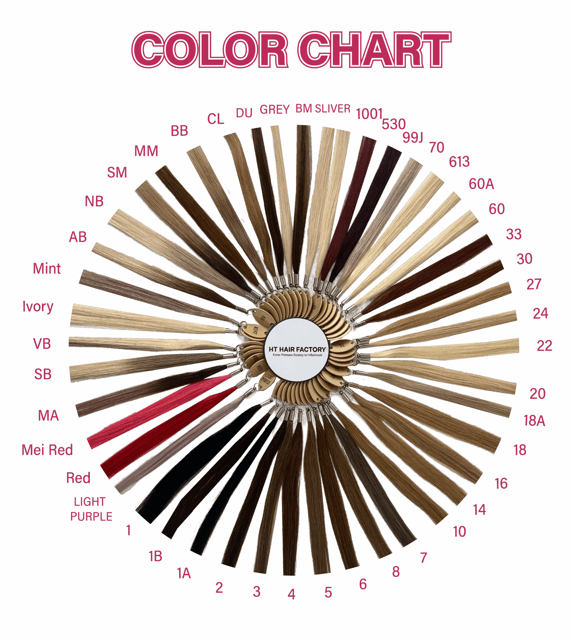 HT Hair Factory - Vietnam Leading Human Hair Factory